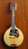 Předchůdci, typy a příbuzní mandoliny | [BlueGrass CZ] bgcz.net